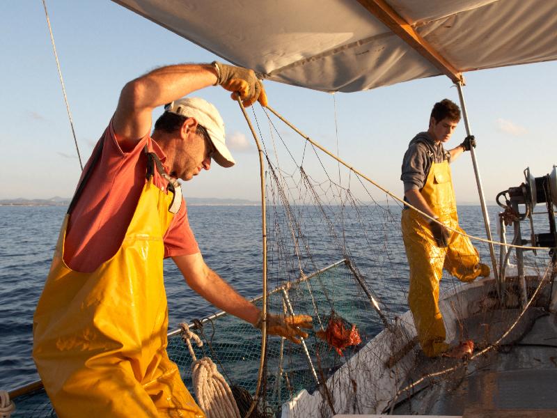 Les Familles Des Métiers De La Mer Ministère De La Mer Formations